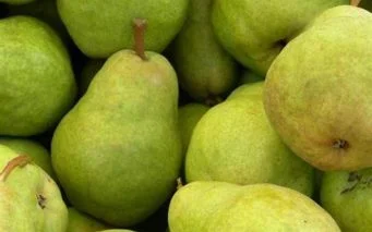 Pear Moonshine Mash Recipe: The Ultimate Step-by-Step Guide to Perfect ...