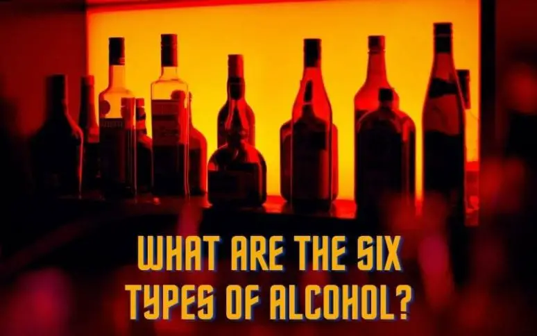Types of Alcohol: Understanding the Six Main Categories | Good Ol Moonshine