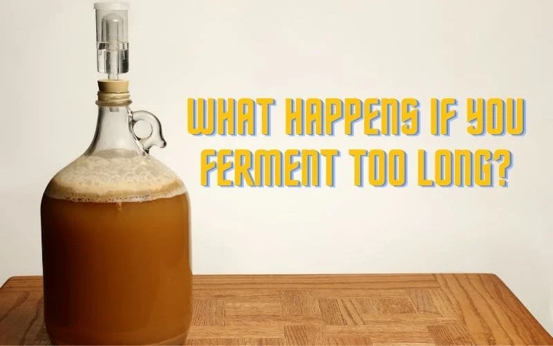What Happens If You Ferment Too Long? Three Main Key Impacts | Good Ol ...